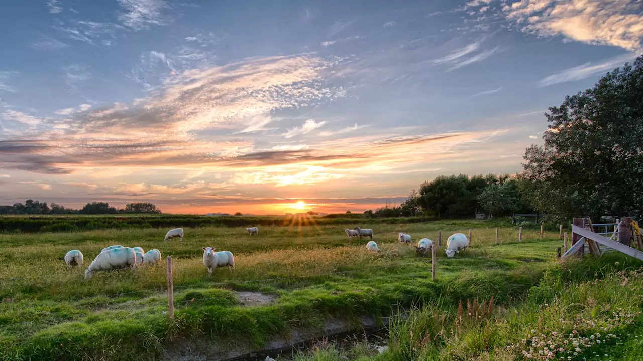 Farmland LP Recognized as Farmland Fund by Agri Investor