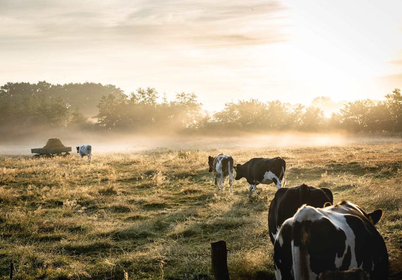 Central Farm Service Applauds Advancing Agriculture