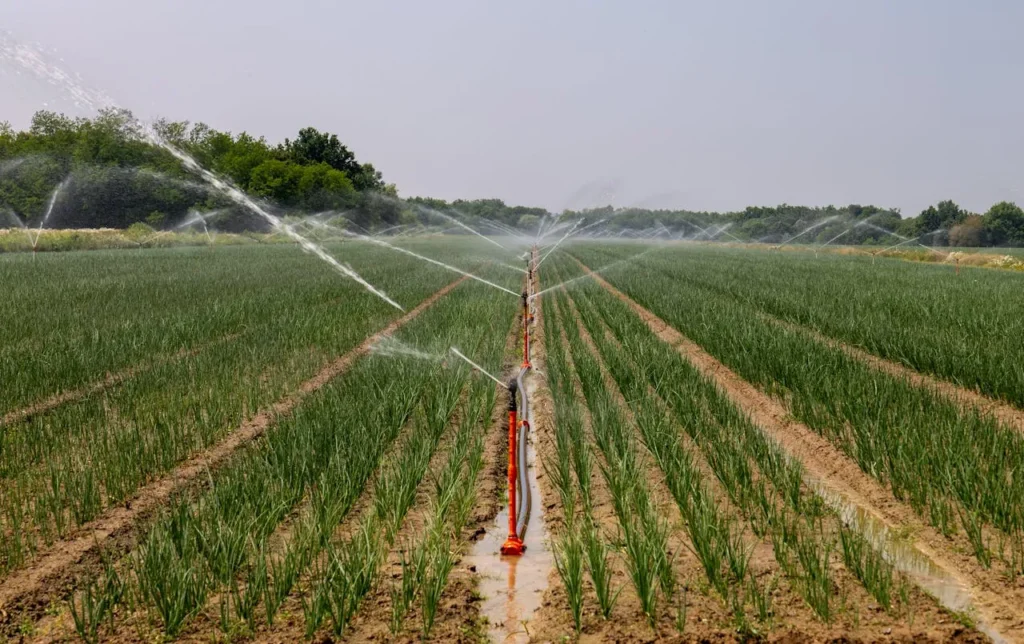 Crops and Drone Technologies Precision Planting Market